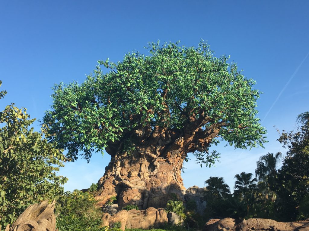 Take the Ultimate Virtual Tour of Animal Kingdom